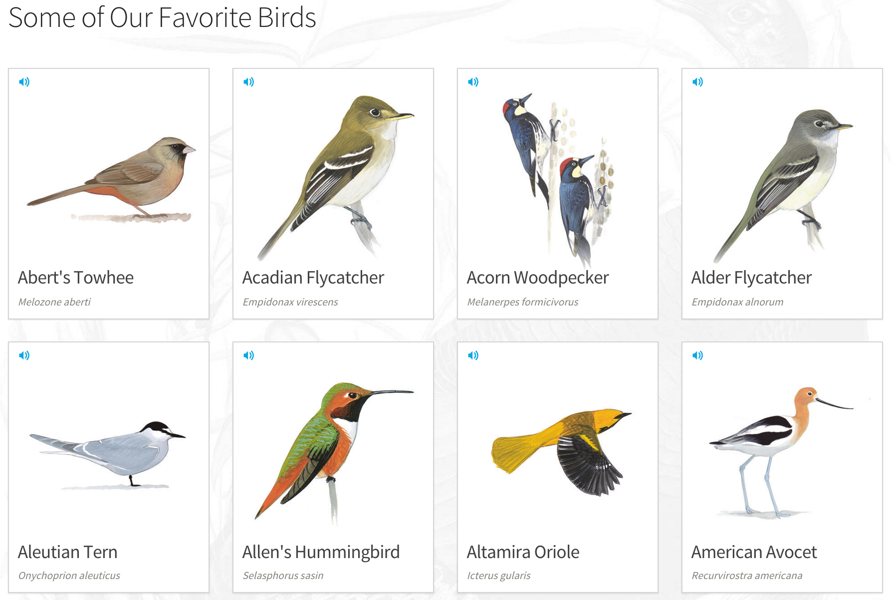 The Modern Birder’s Best Field Guides - Optics Den